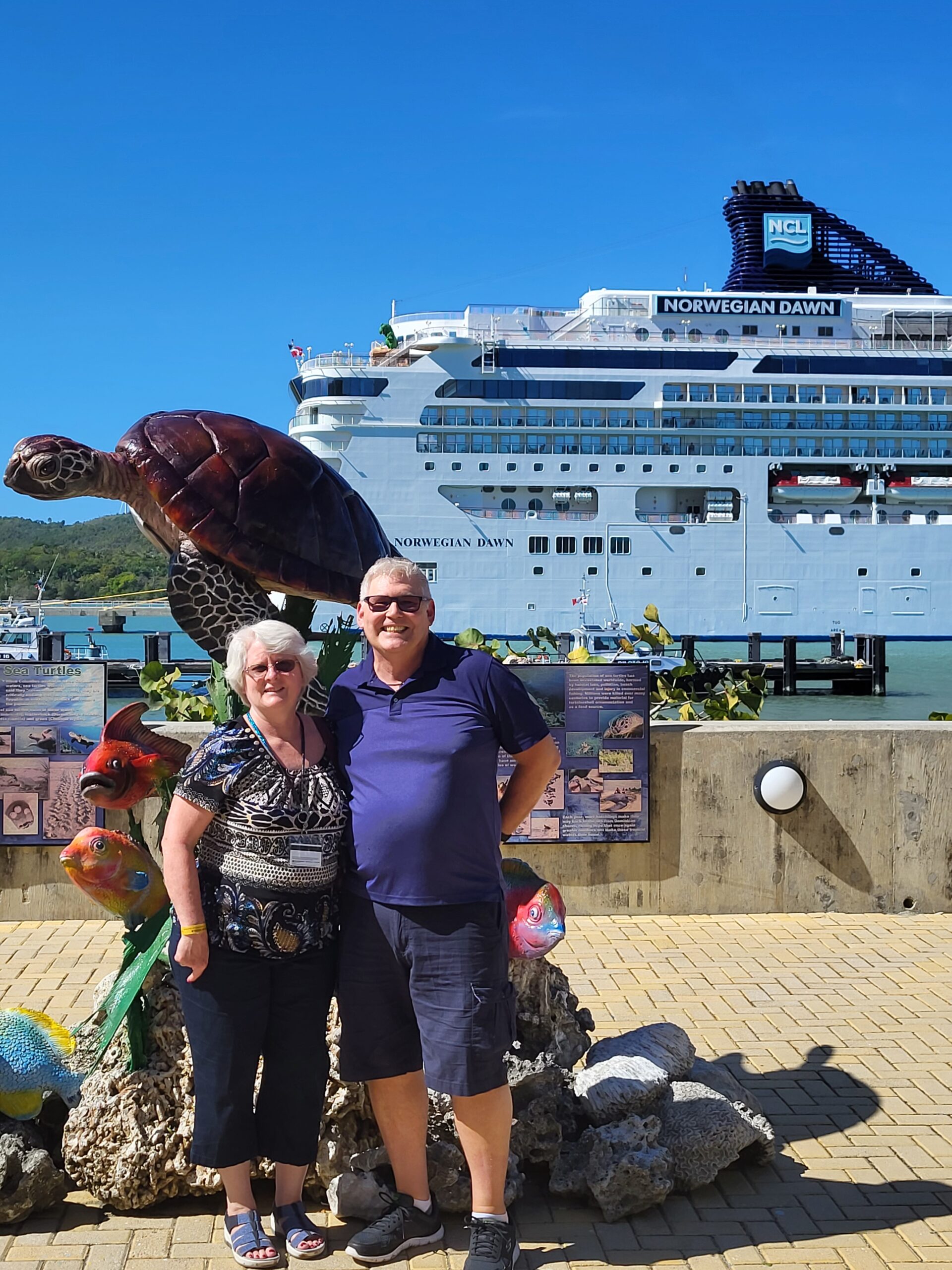 Festival Team – 2025sdfestival.wasdf.org